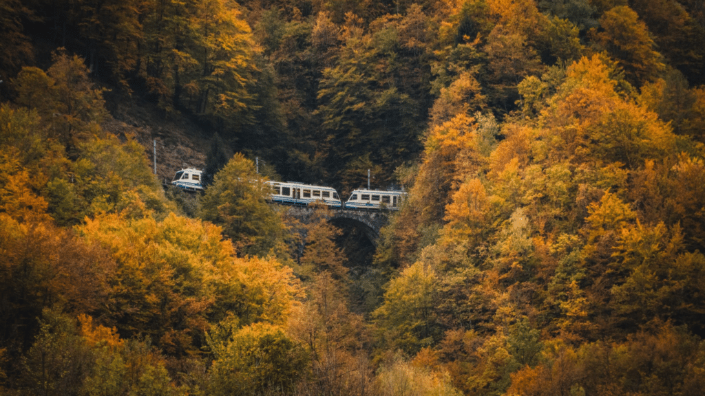 Piemonte, torna il treno del foliage che collega Italia e Svizzera ...